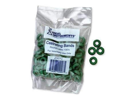 LATEX CASTRATING BANDS - Pelzer, SC - Rogers Feed